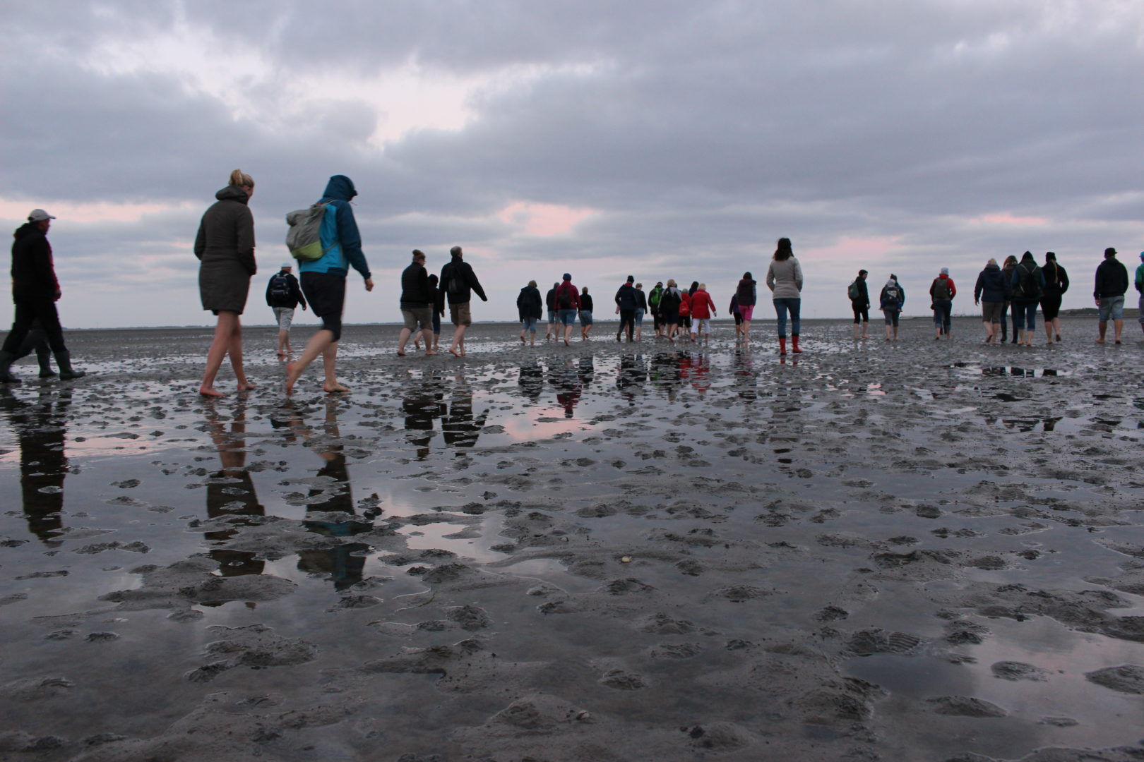 Zum Sonnenaufgang ins Weltnaturerbe Wattenmeer | Teetied Ostfriesland ...
